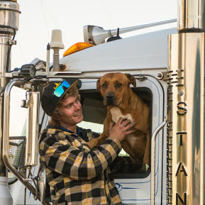 Stanes Transport | Transport